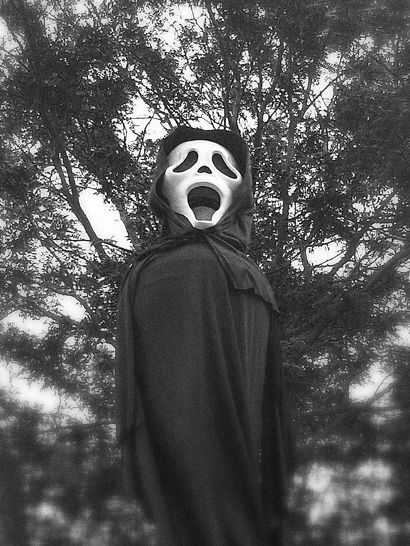 Updated: Scream 4 Movie Now Filming in Plymouth and Northville Michigan ...