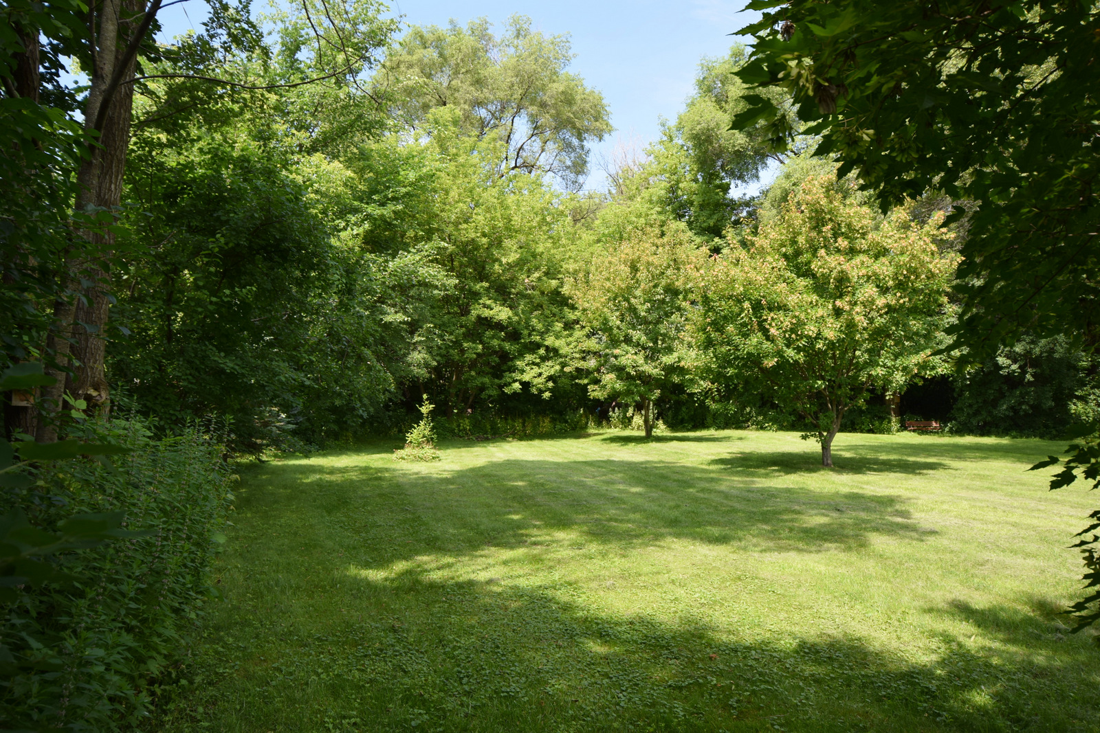 View of Rear Yard – BAKE Real Estate
